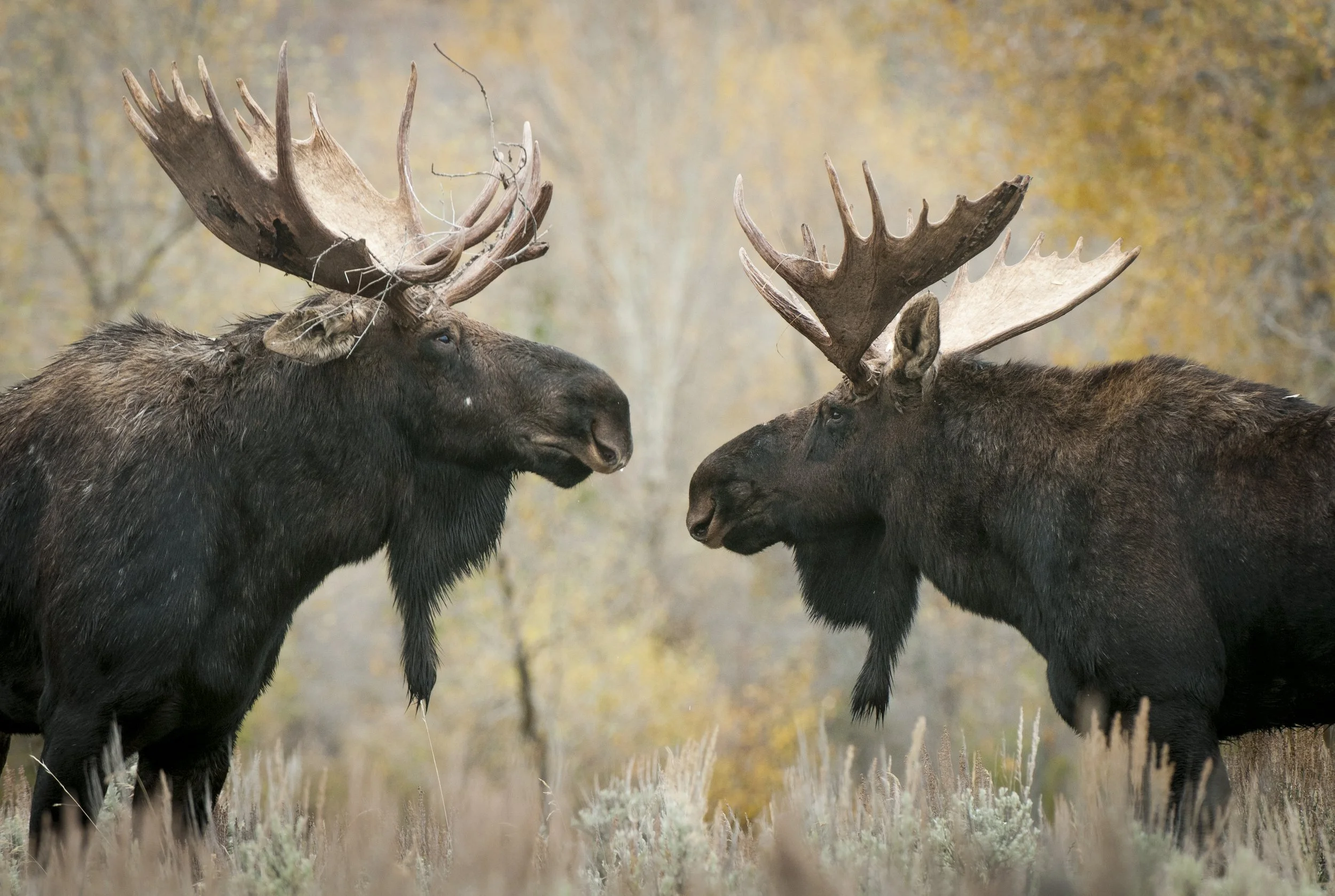 Field Notes — Jared Lloyd Photography