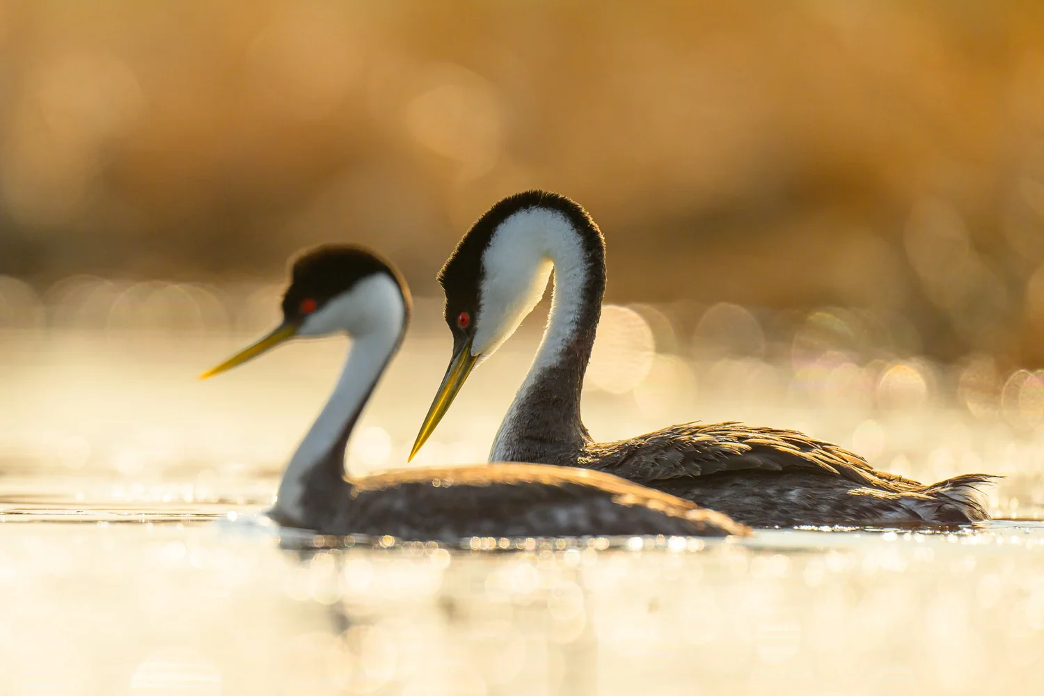 Field Notes — Jared Lloyd Photography
