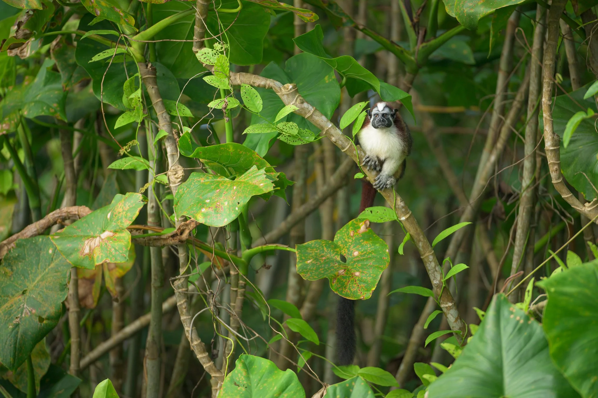 learning to see — Jared Lloyd Photography