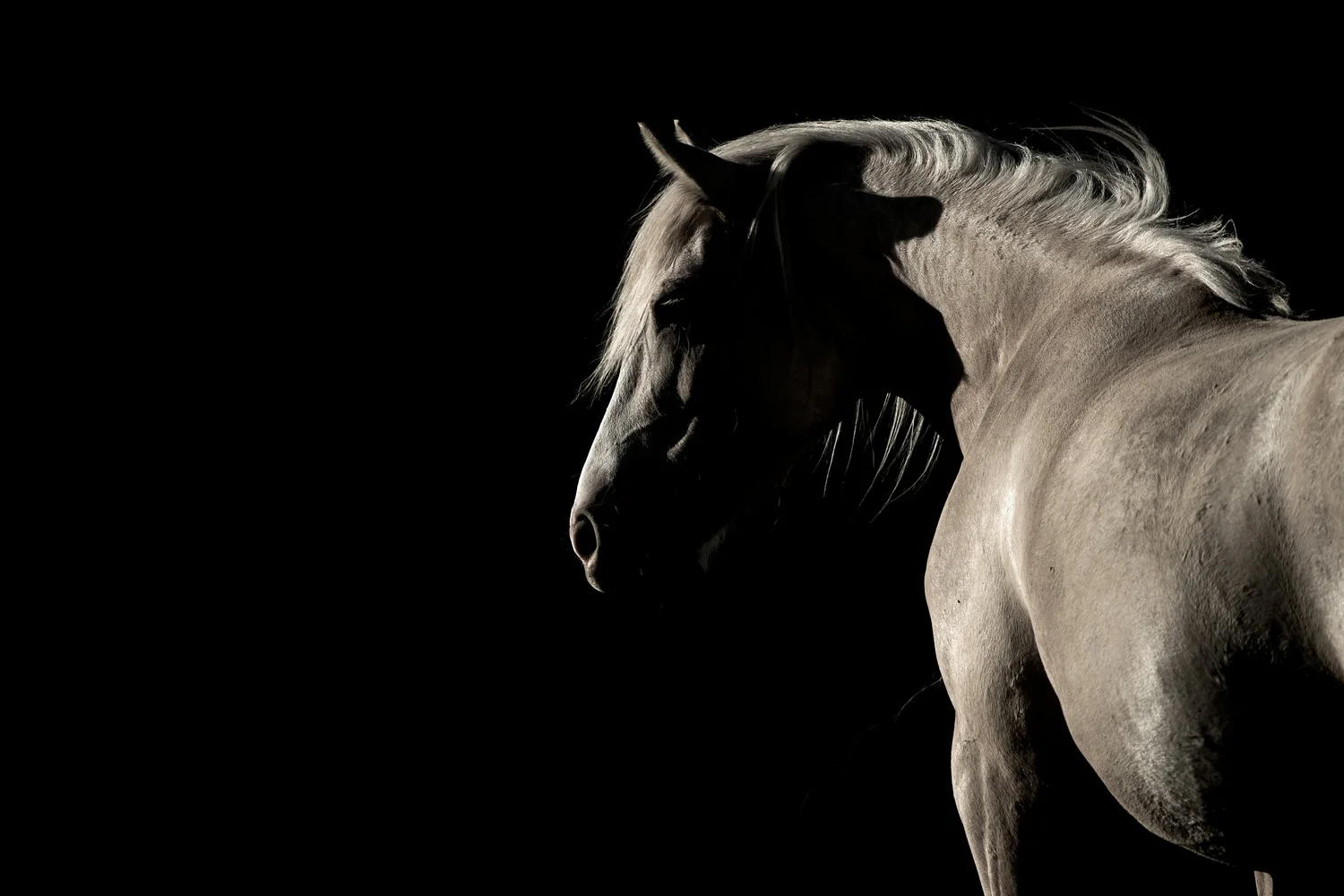 Contact — Jared Lloyd Photography
