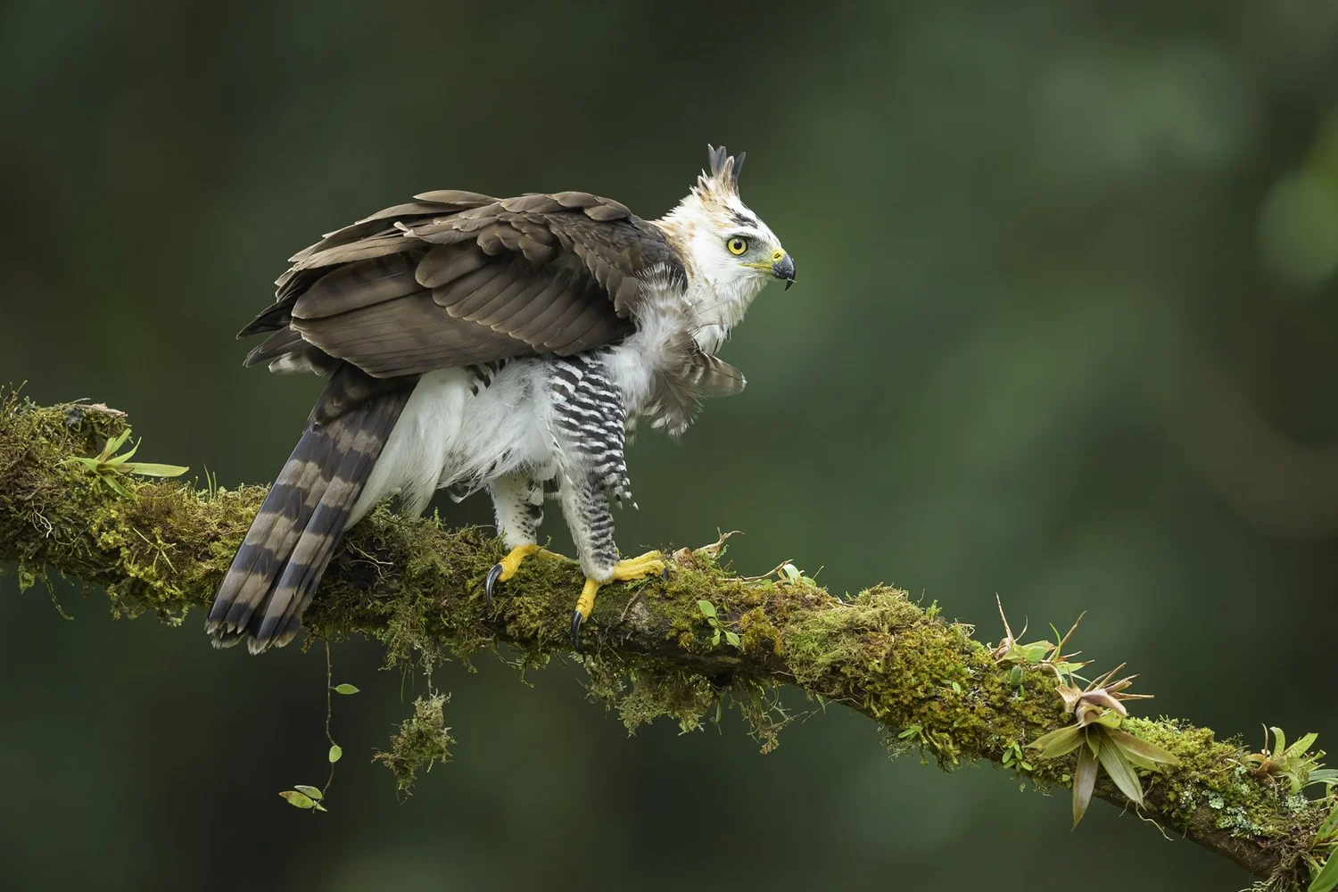 Workshops — Jared Lloyd Photography
