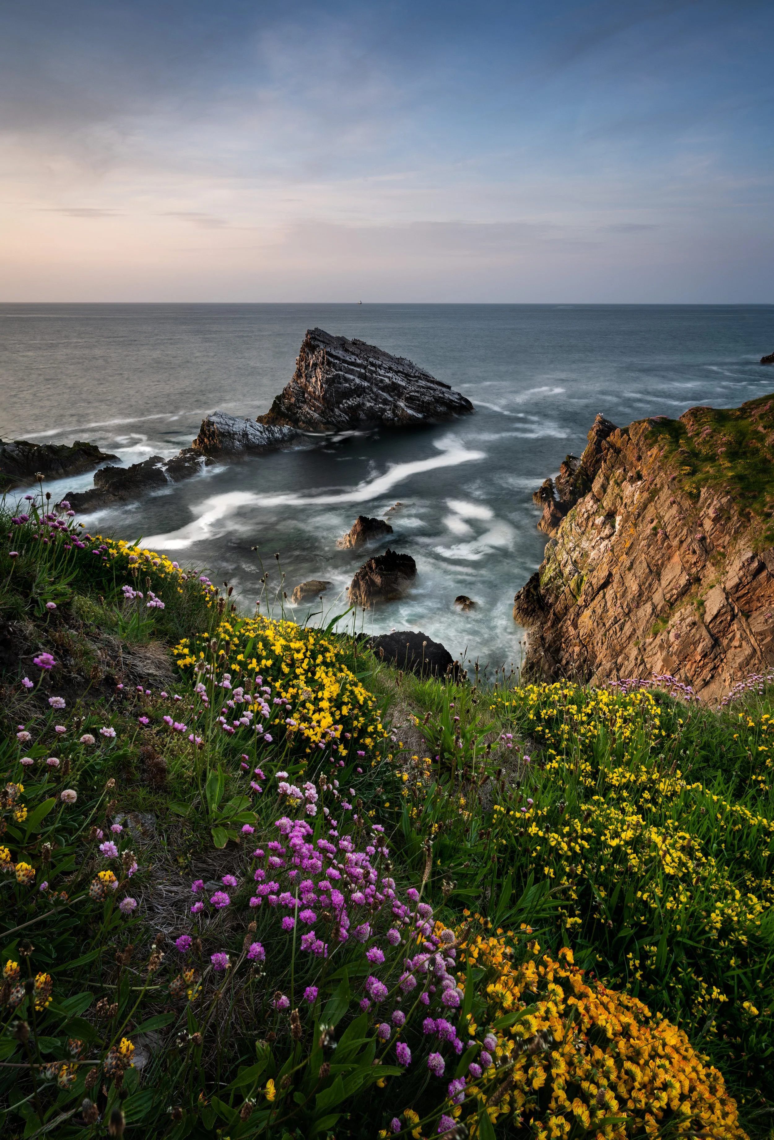 Warner-Tate Photography Gallery