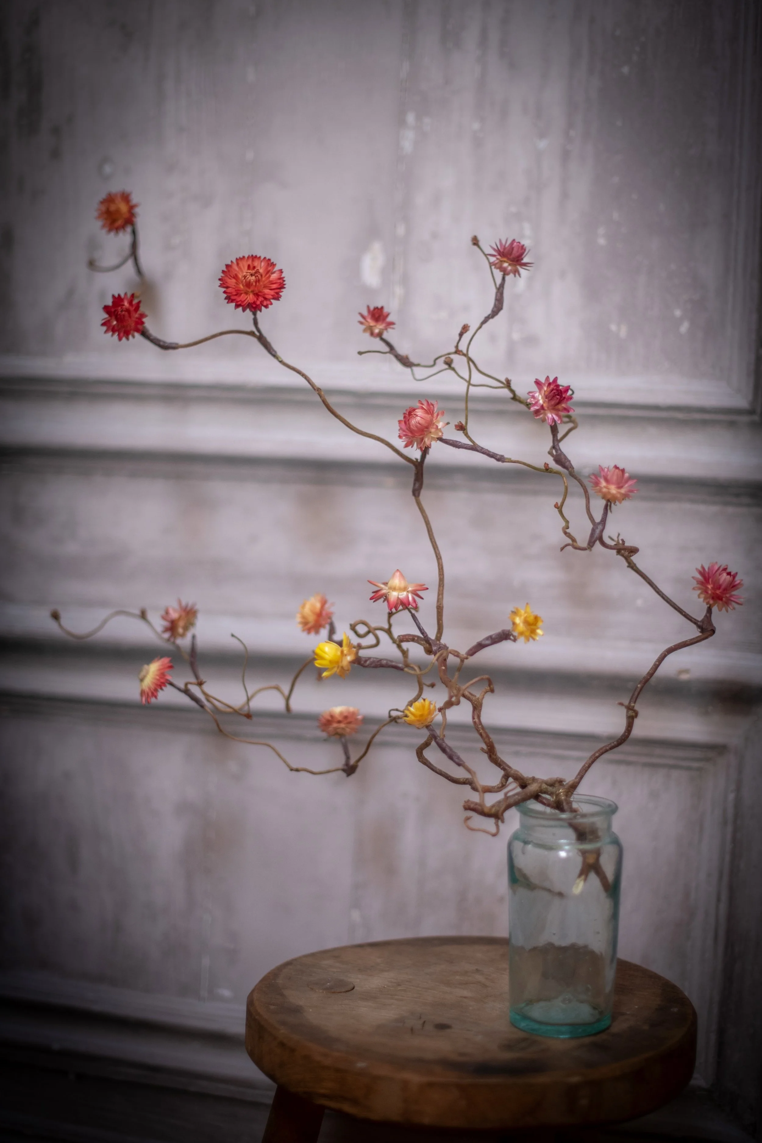 Dried flower meadow box. A beautiful, natural centrepiece. flowers and ...