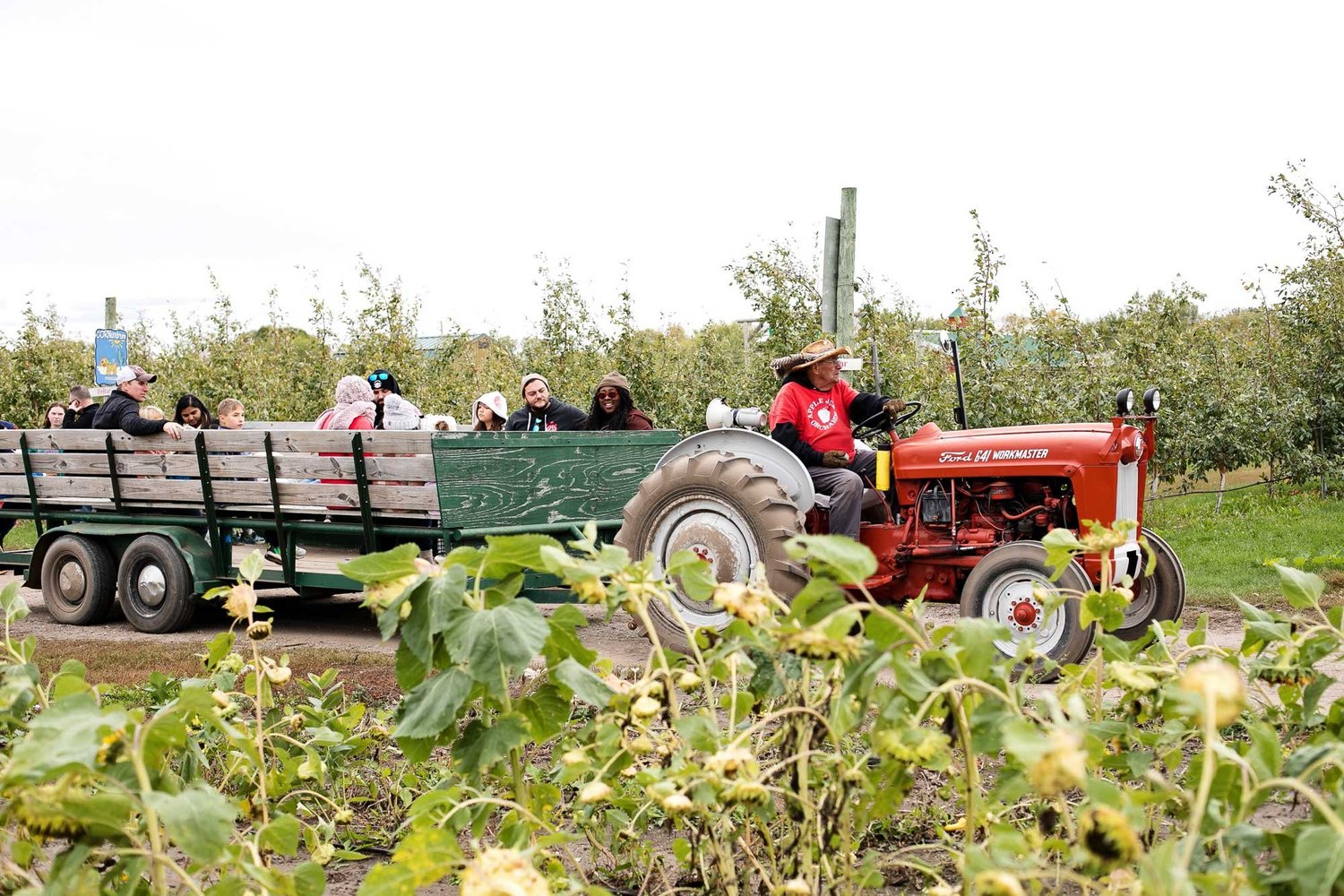 Things To Do — Apple Jack Orchards
