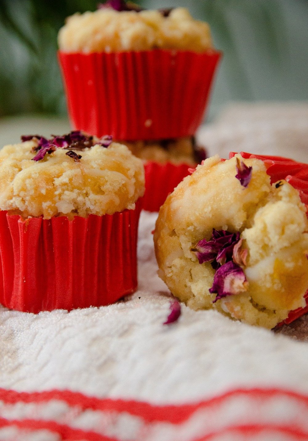 GINGER COOKIE - DEBAERE — De Baere