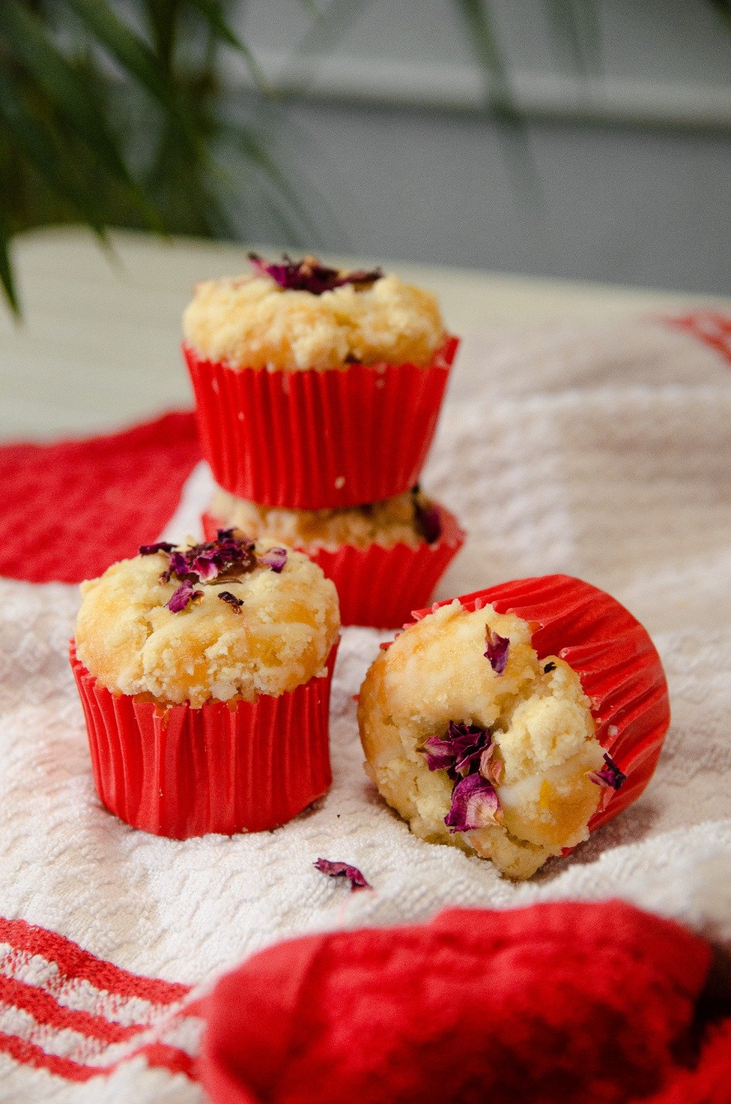 Biscoff Cupcakes — De Baere