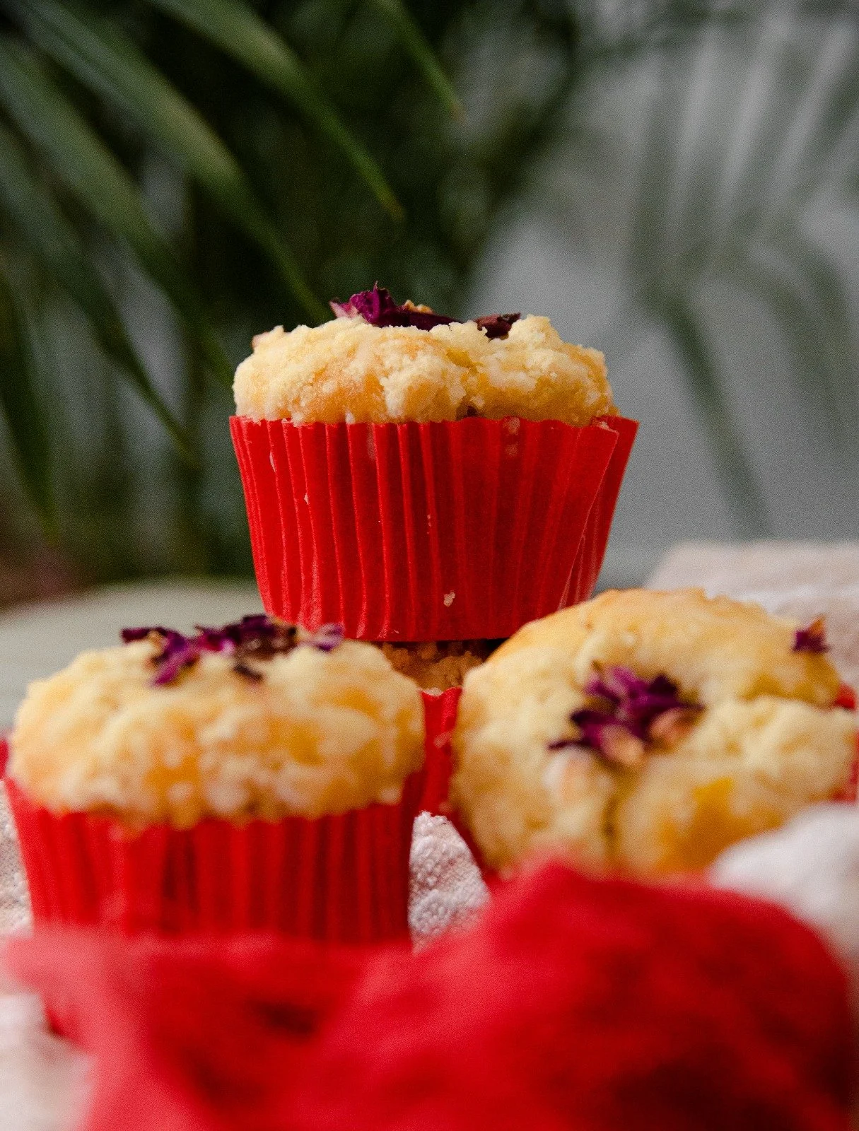 Biscoff Cupcakes — De Baere