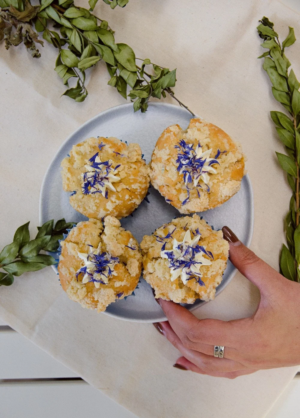 GINGER COOKIE - DEBAERE — De Baere