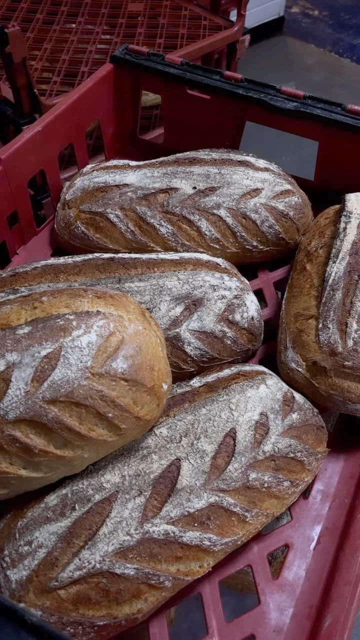 DEBAERE - PURE JOY BAKED IN...