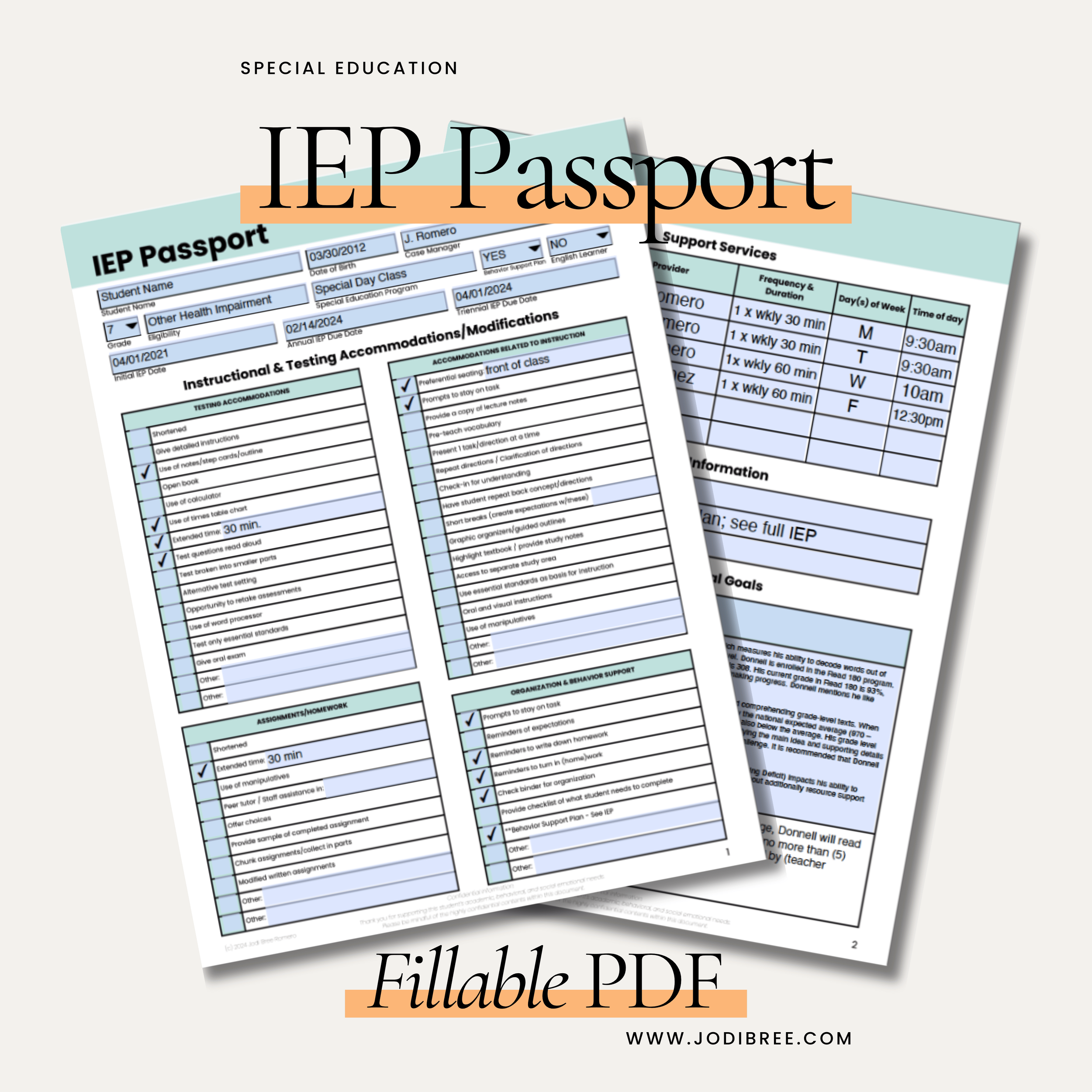 IEP Passport | IEP @ a Glance | IEP Snapshot | Printable PDF — Jodi Romero