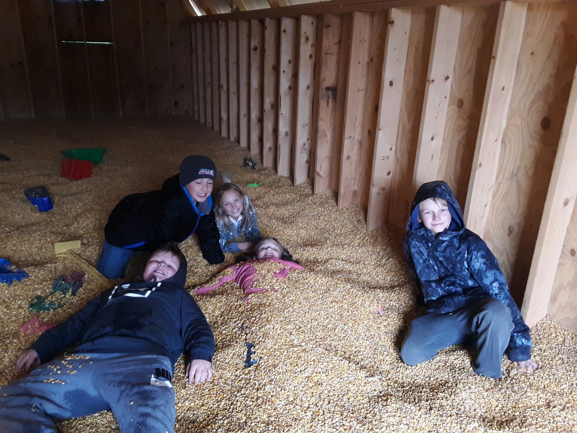 Congregational Ministries — Maple Grove Mennonite Church | Maple Grove ...