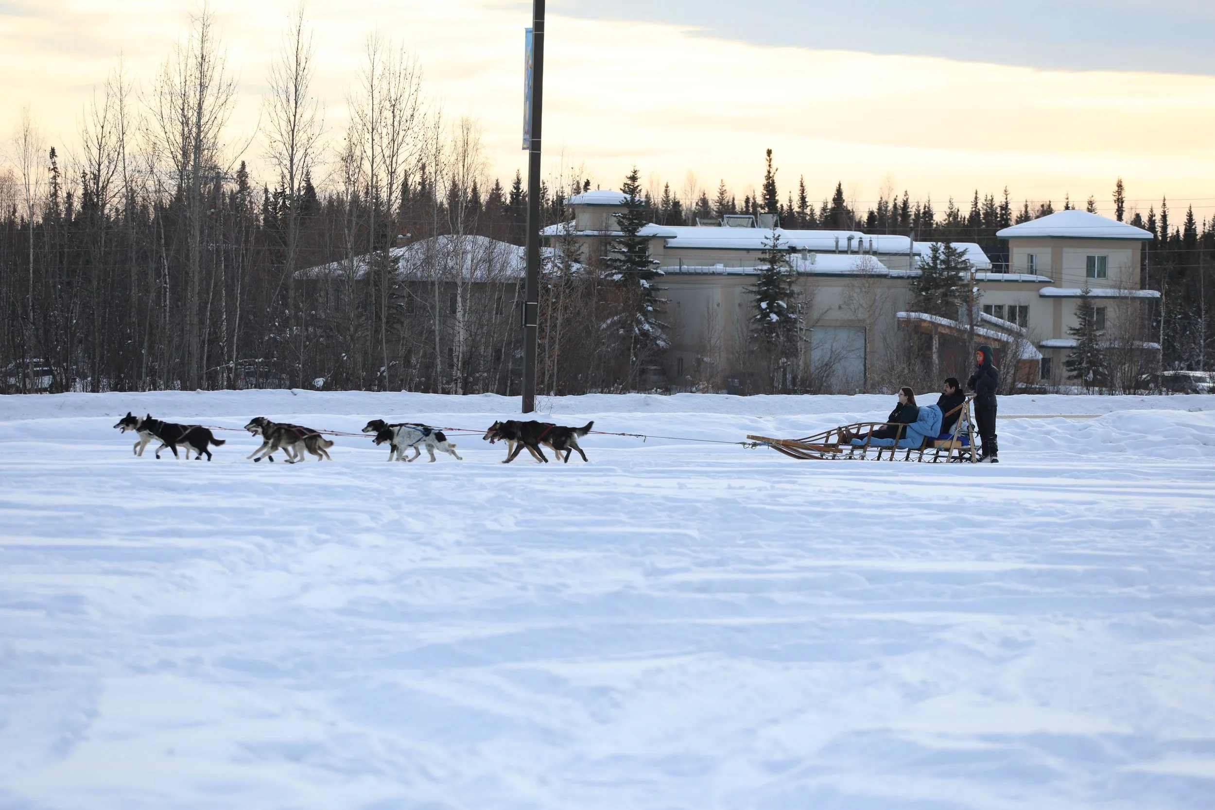 Winter Carnival — The Sun Star - UAF's Student Voice