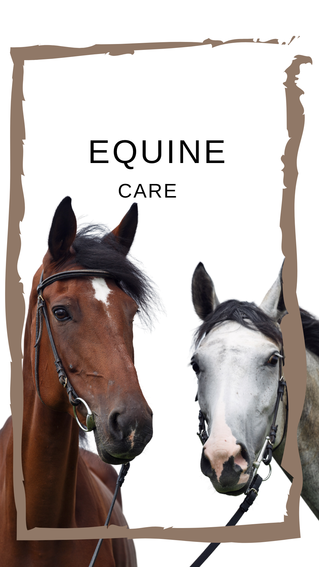 Huntington Horse & Hound | Discover Exceptional Care