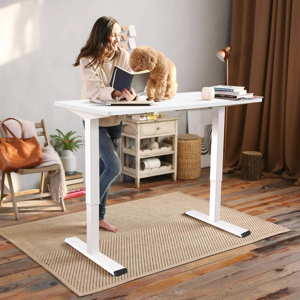 FleixSpot E7 Premium Adjustable Standing Desk Review | MisterMenPlays ...