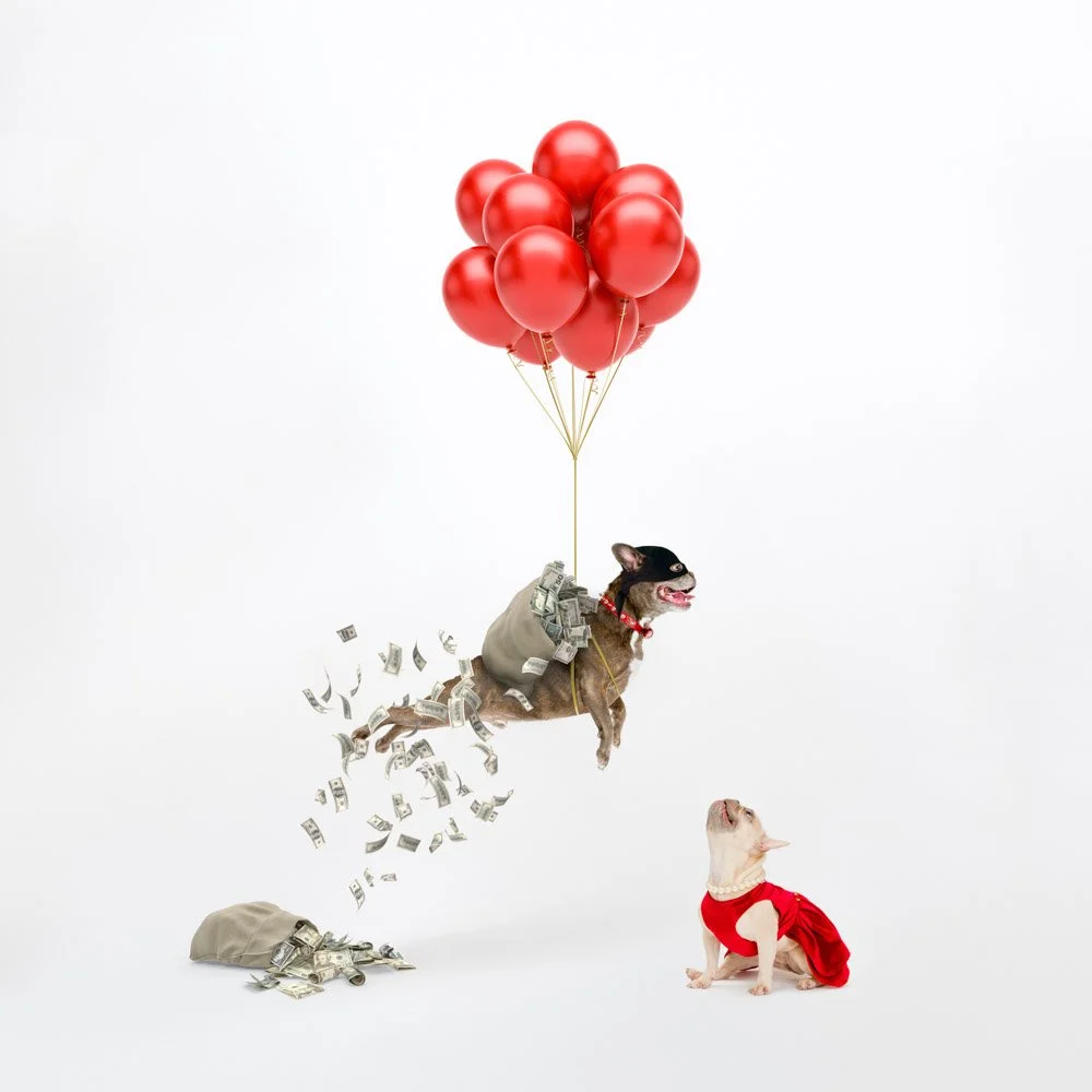 Creative Animal Portraits | Charlie Nunn Photography