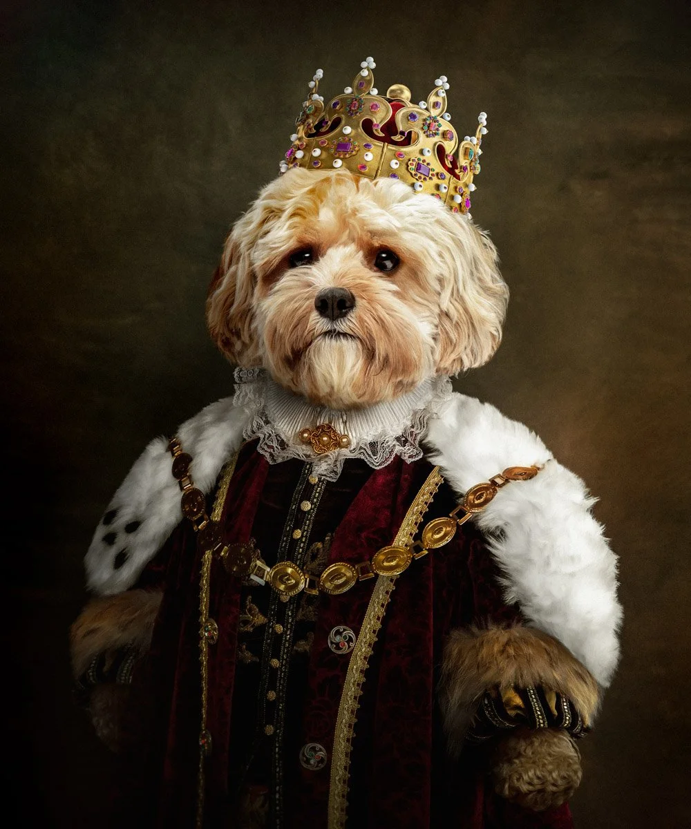 Creative Animal Portraits | Charlie Nunn Photography