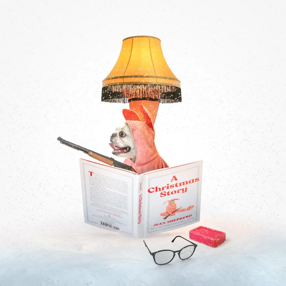 Creative Animal Portraits | Charlie Nunn Photography