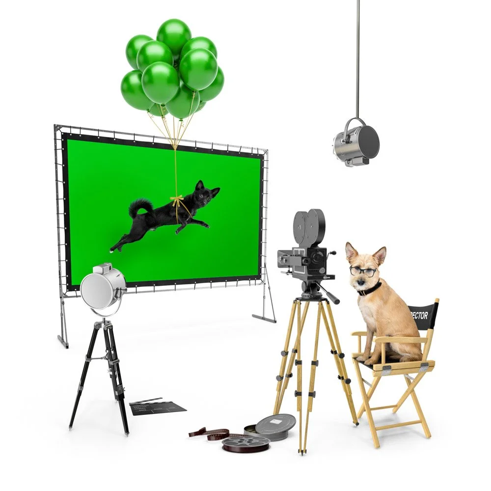 Creative Animal Portraits | Charlie Nunn Photography
