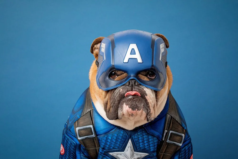 Dog Images | Charlie Nunn Photography