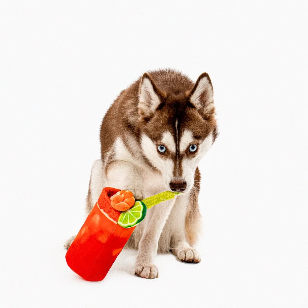 Dog Images | Charlie Nunn Photography