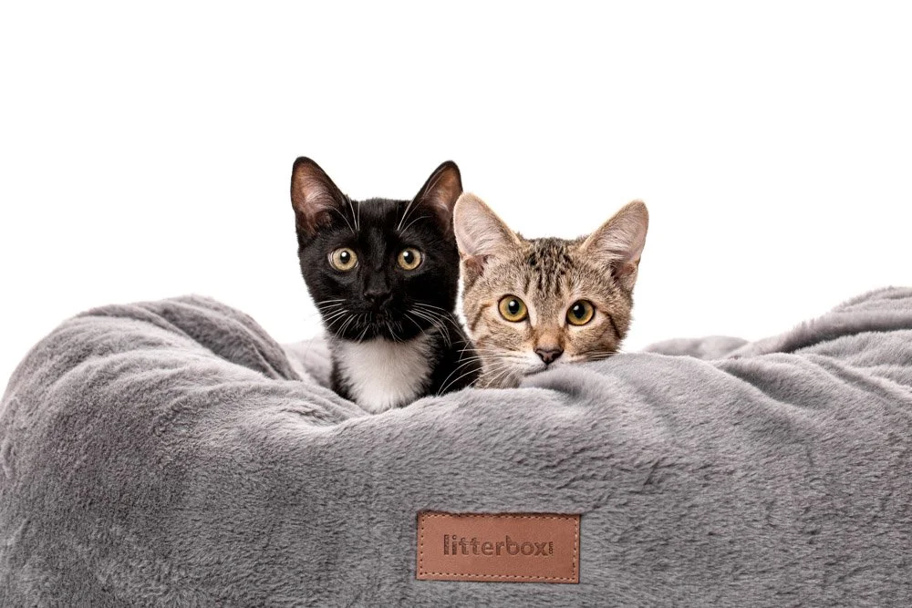 Products | Charlie Nunn Photography