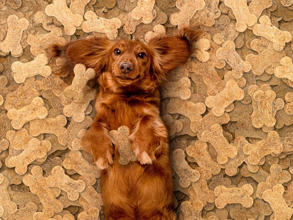 Products | Charlie Nunn Photography