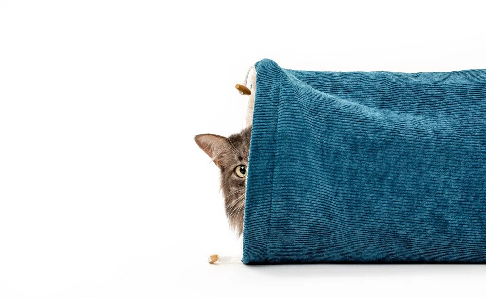 Products | Charlie Nunn Photography