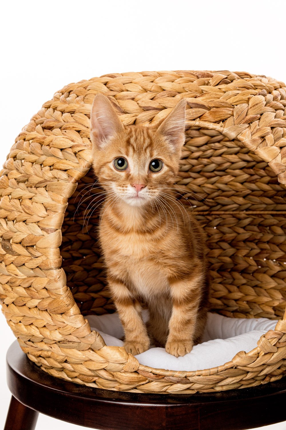 Products | Charlie Nunn Photography