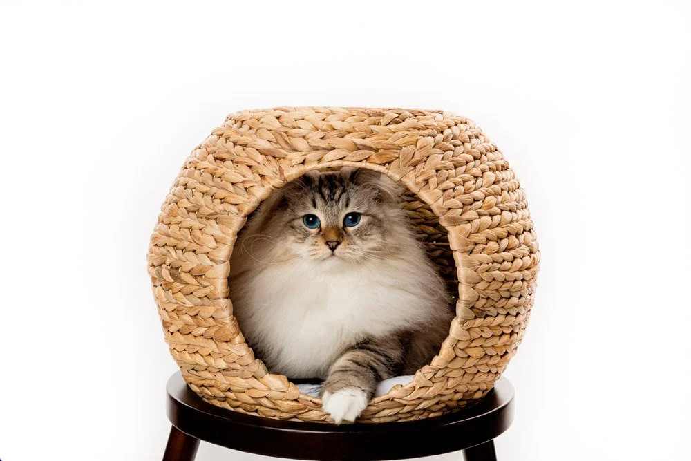 Products | Charlie Nunn Photography