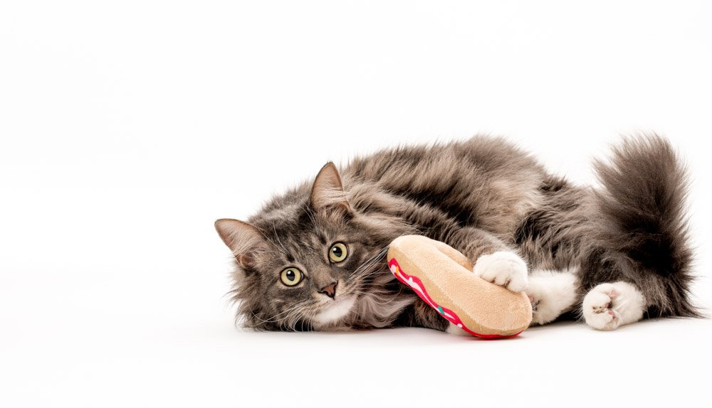 Products | Charlie Nunn Photography