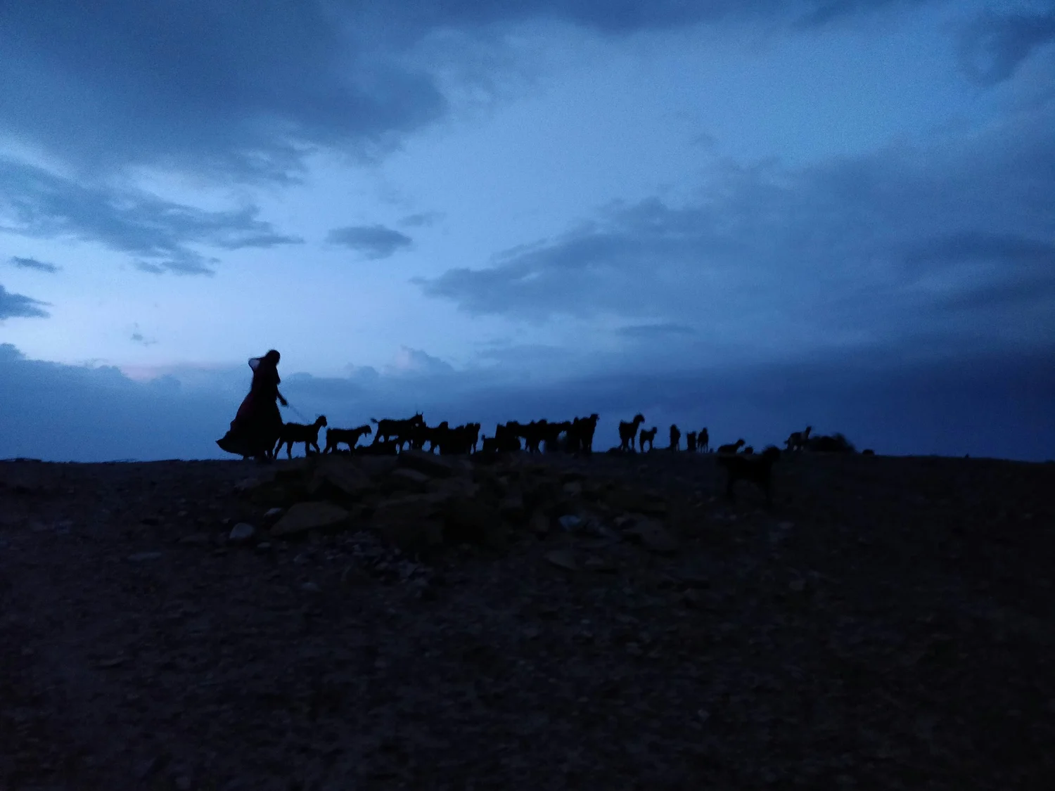 The Shepherds and the Savior: Seeking and Savoring Christ at Christmas ...