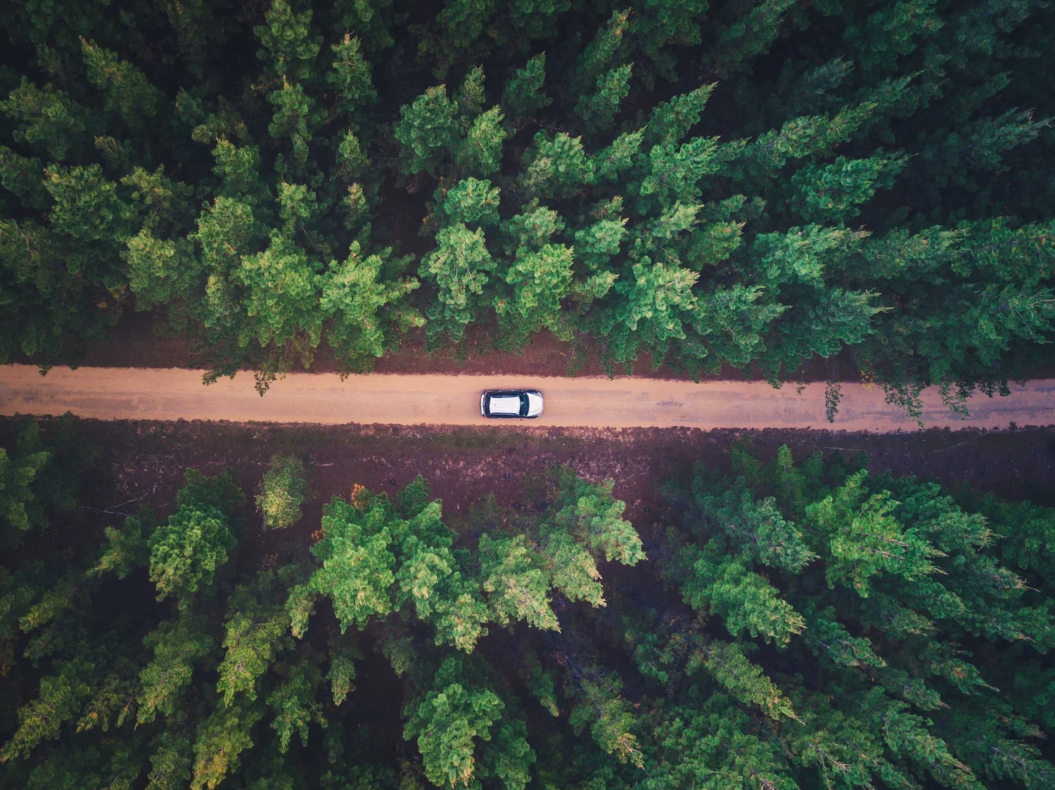 OpenRoad Foundation
