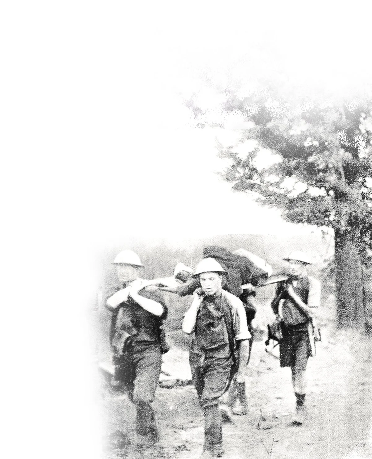 The Passchendaele offensive — Passchendaele Society