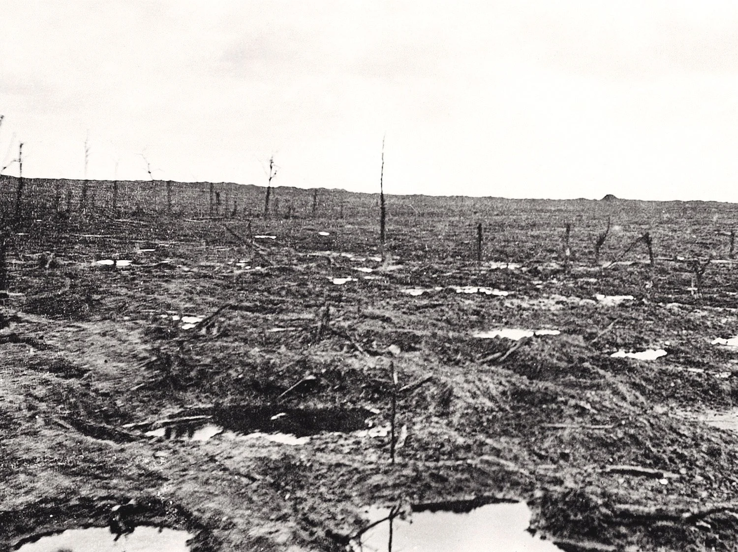 The Passchendaele offensive — Passchendaele Society