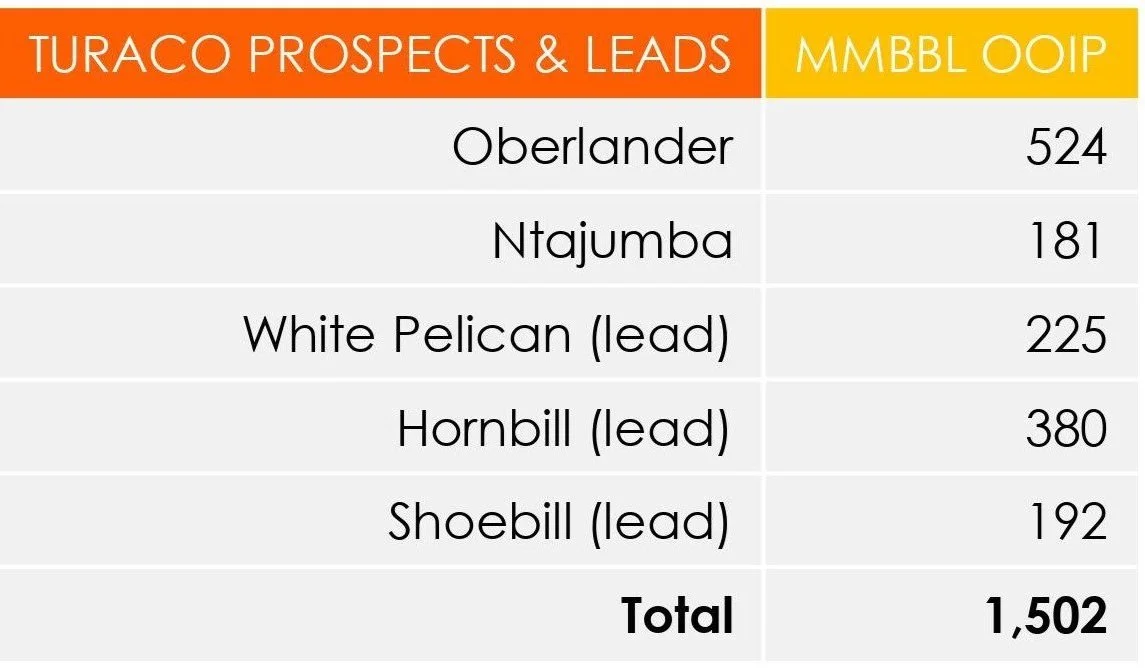 Turaco Project — Conjugate Energy