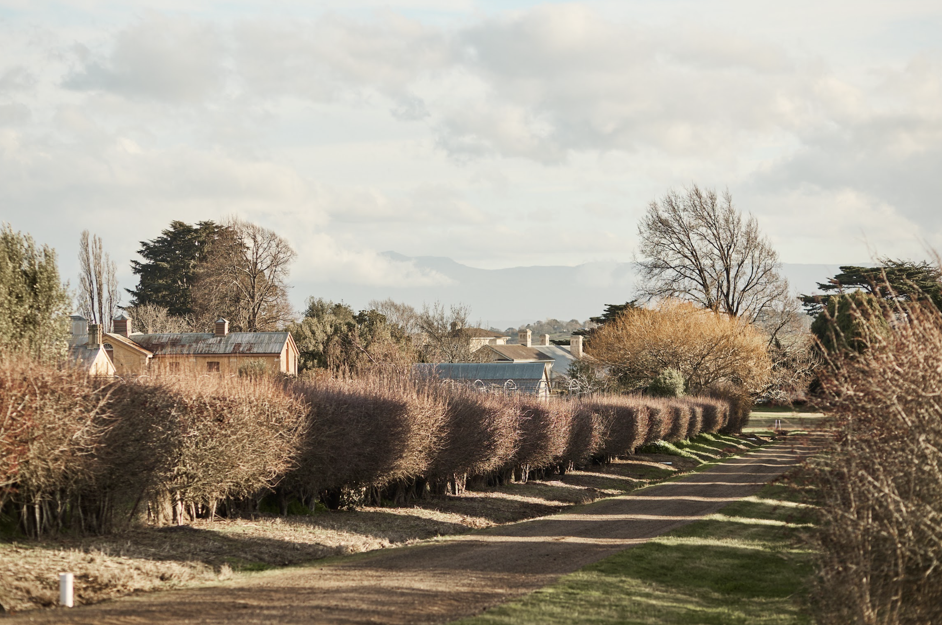 Woolmers Estate | Our History