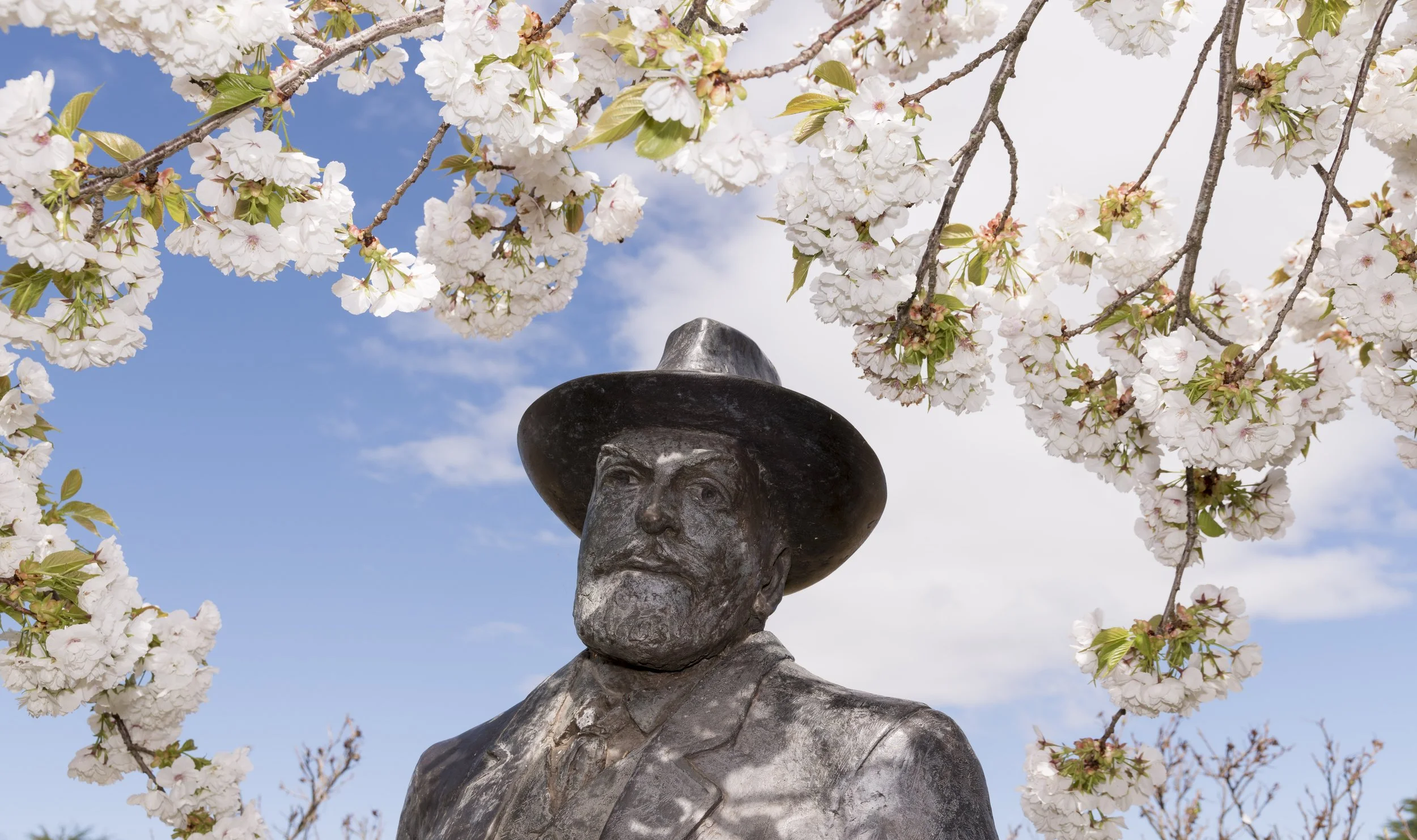 Woolmers Estate | Rose Garden in Tasmania