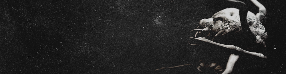 Careers — Affray Interactive