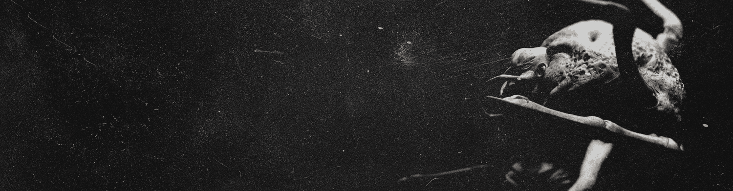 Careers — Affray Interactive