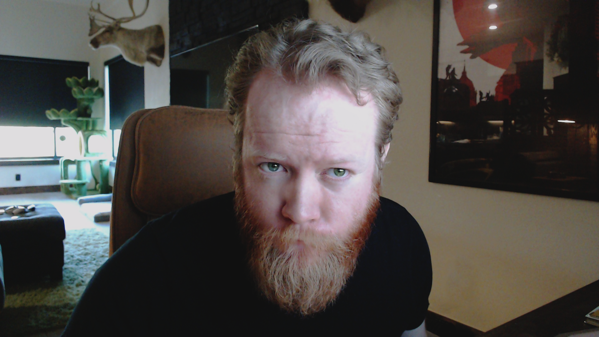 Who We Are — Affray Interactive