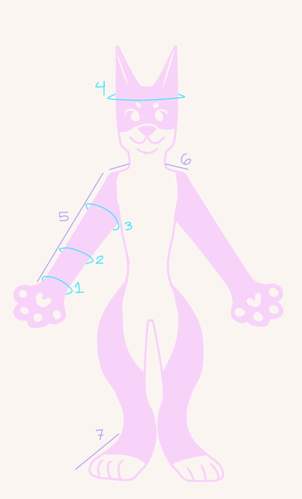 How To Measure — Shwit Fur Creations