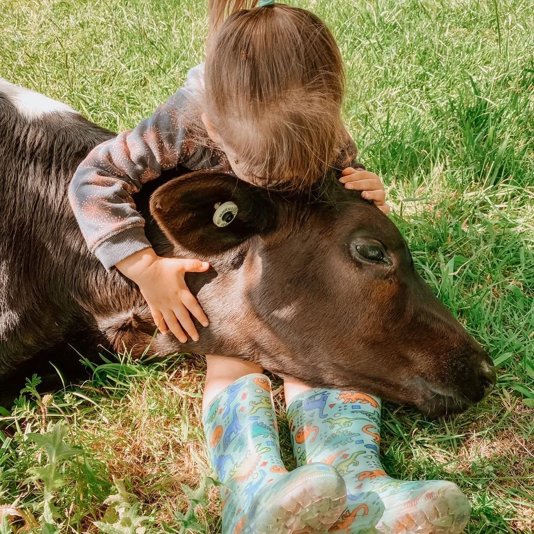 How to Care for Calves — Companion Cows