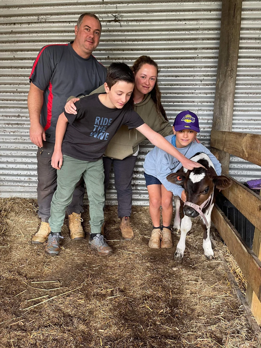 Companion Cows