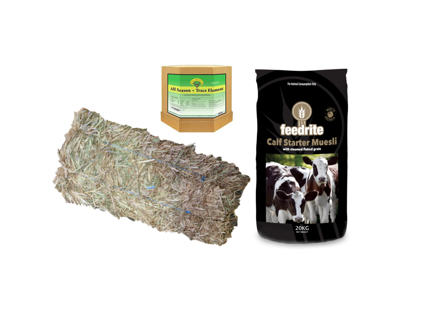 How to Care for Calves — Companion Cows