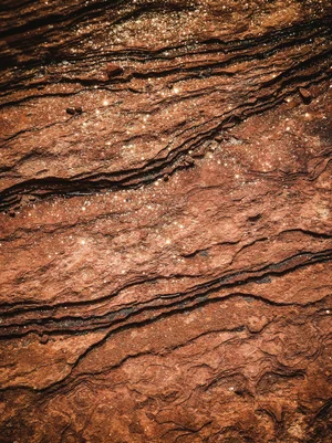Learn about Noongar Culture — Harvey Aboriginal Corporation