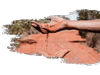 Learn about Noongar Culture — Harvey Aboriginal Corporation