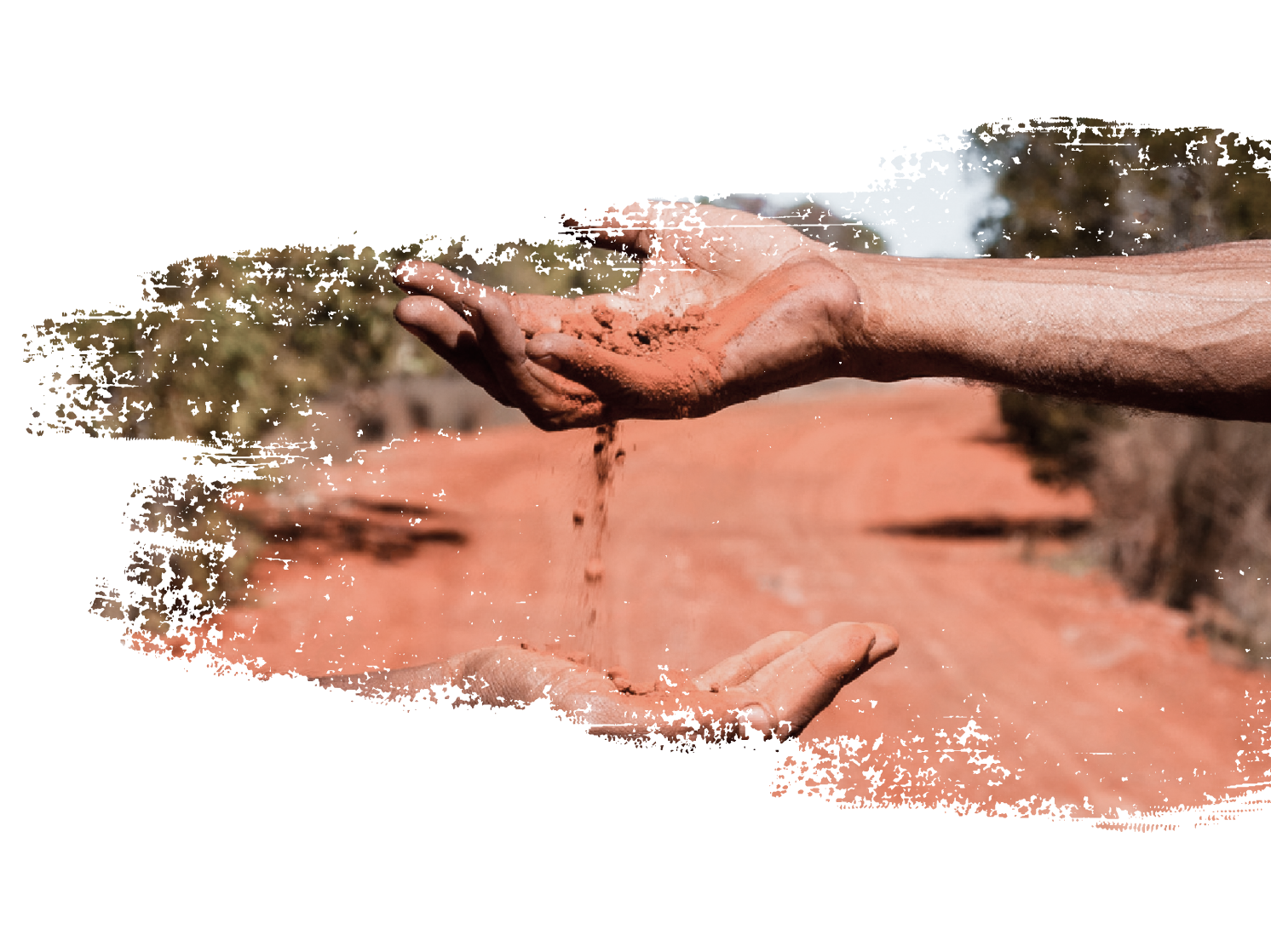 Learn about Noongar Culture — Harvey Aboriginal Corporation