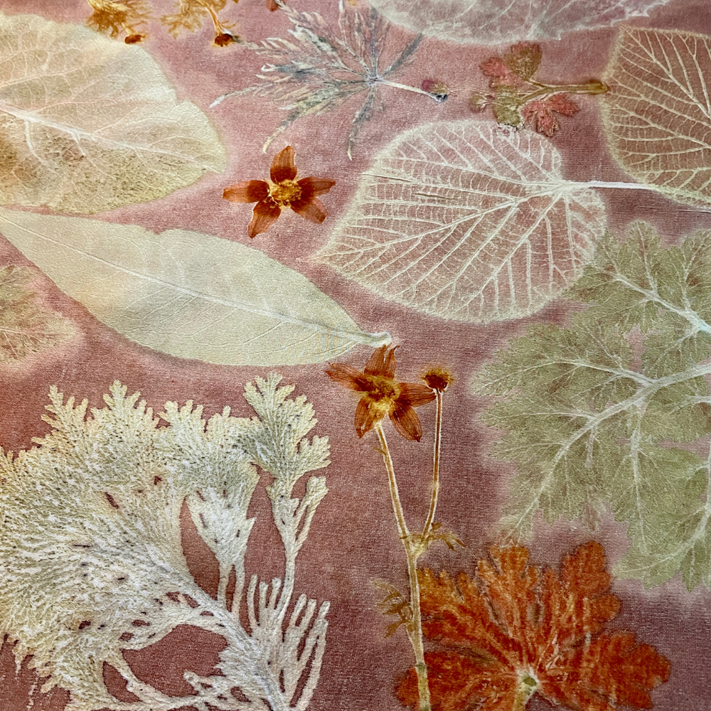 LEARN THE ART OF ECO-PRINTING WITH FLOWERS AND PLANTS