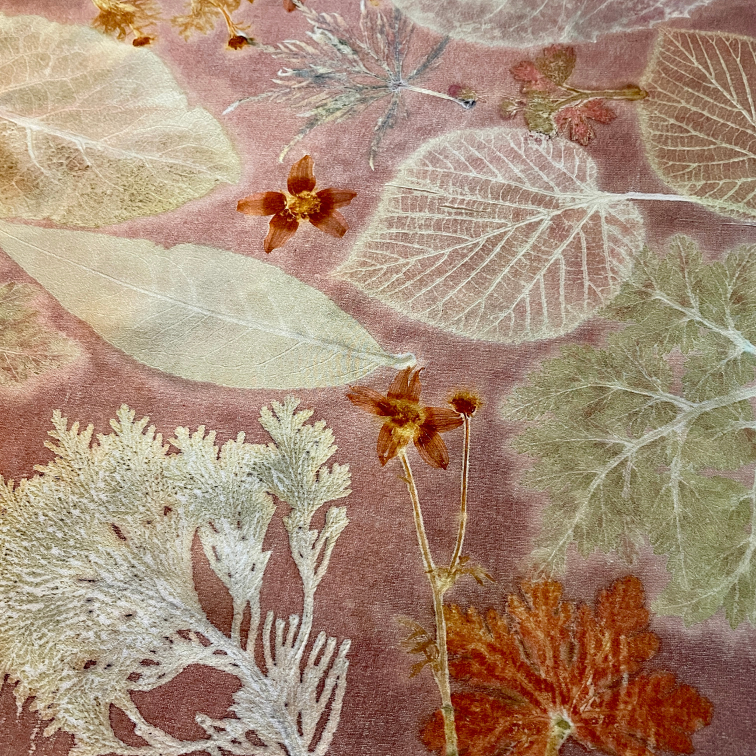LEARN THE ART OF ECO-PRINTING WITH FLOWERS AND PLANTS