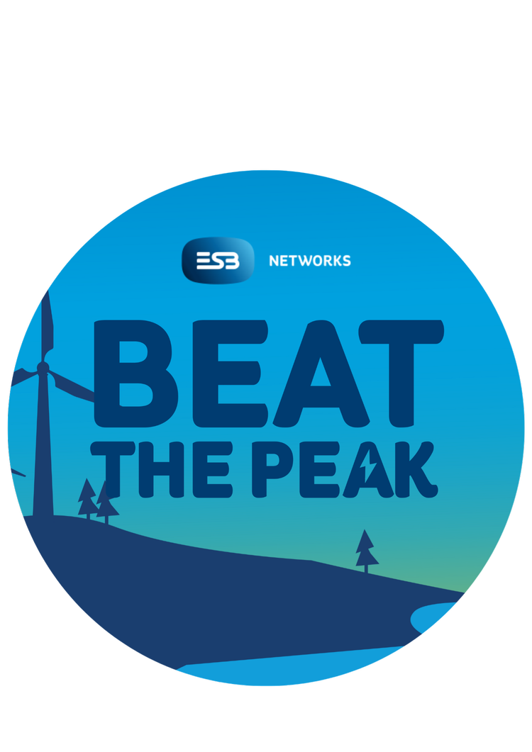 Energy Case Study | Bold Donut | Sustainability engagement & learning ...